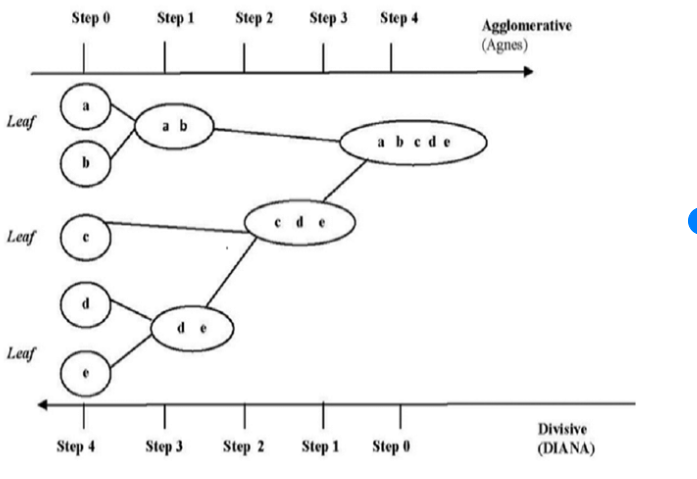 Cluster Analysis in R: A Complete Guide You Will Ever Need [2023 ...