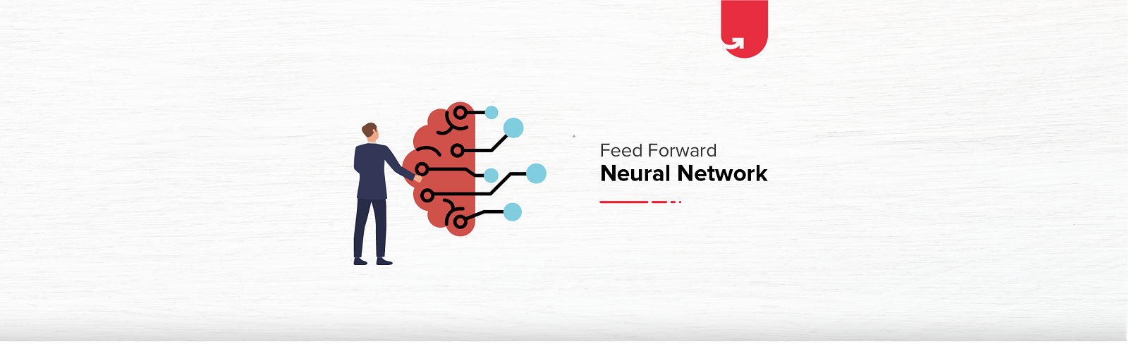 An Introduction to Feedforward Neural Network: Layers, Functions ...