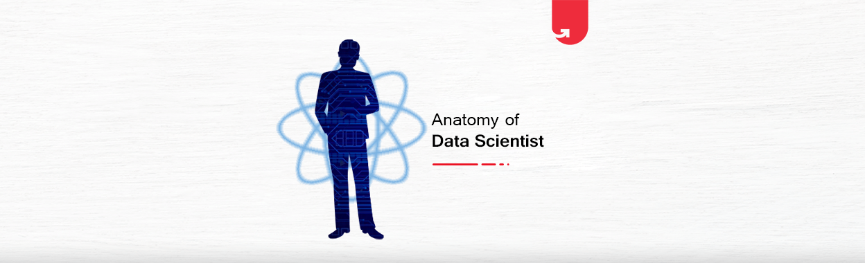 The Anatomy of a Data Scientist [Infographics] | upGrad blog