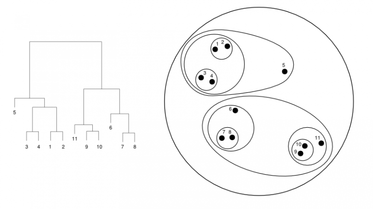 Hierarchical Clustering In Python Concepts And Analysis Upgrad Blog