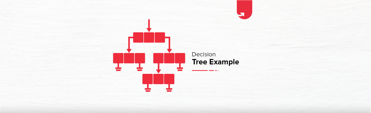 Decision Tree Example: Function & Implementation [Step-by-step ...