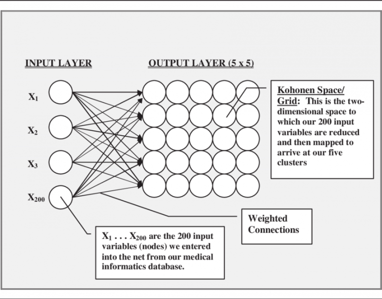 What Are Self Organizing Maps: Beginner’s Guide | upGrad blog